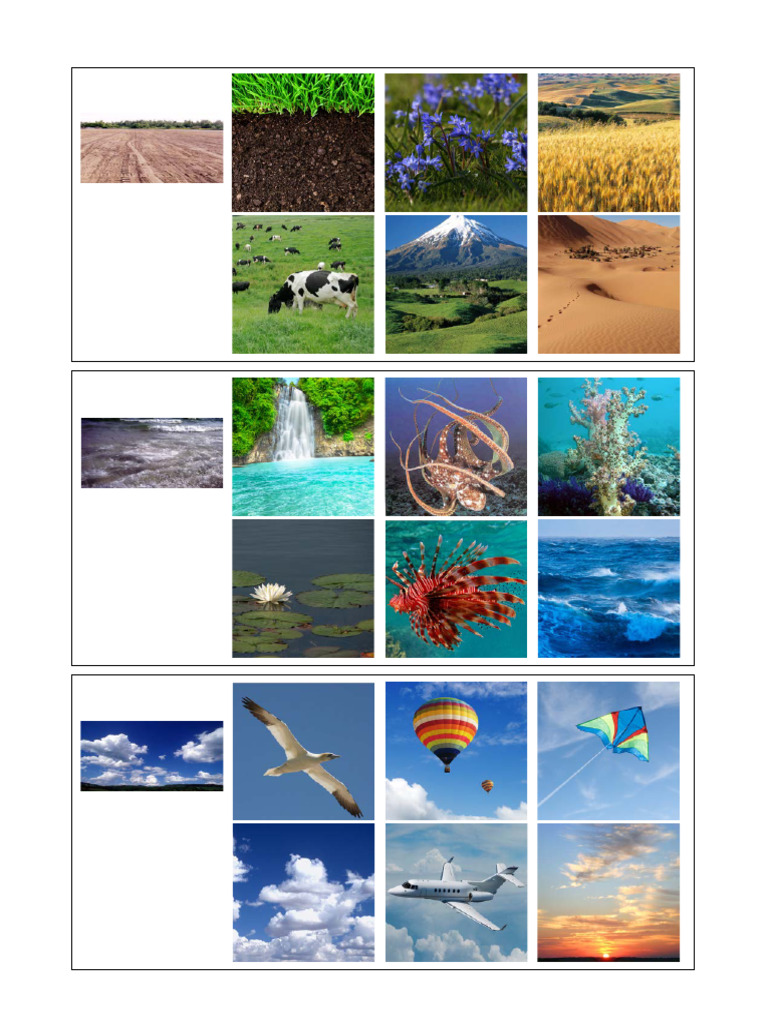 Air Land & Water Sorting - MPS | PDF