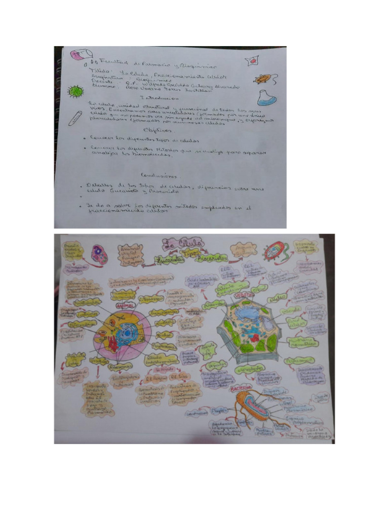Teoria 01 La Celula | PDF