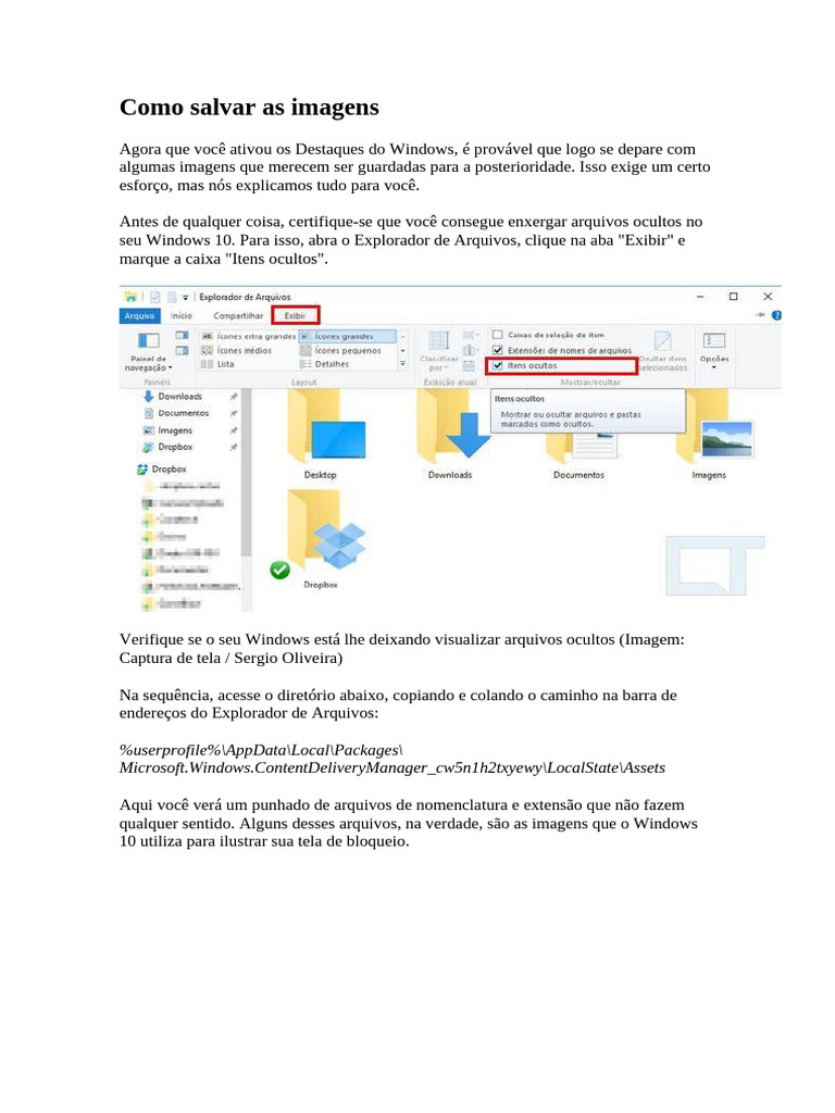 Como Salvar As Imagens | PDF