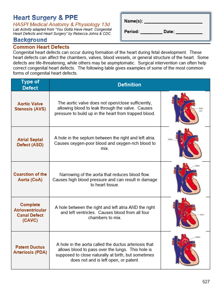Kami Export - LAB Heart - Surgery | PDF | Heart Valve | Congenital Heart Defect