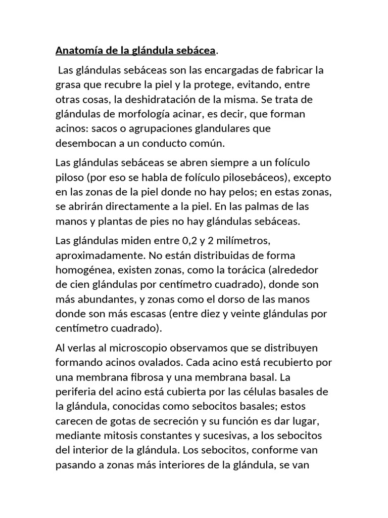 Anatomía de La Glándula Sebácea | PDF | Andrógino | Glándulas