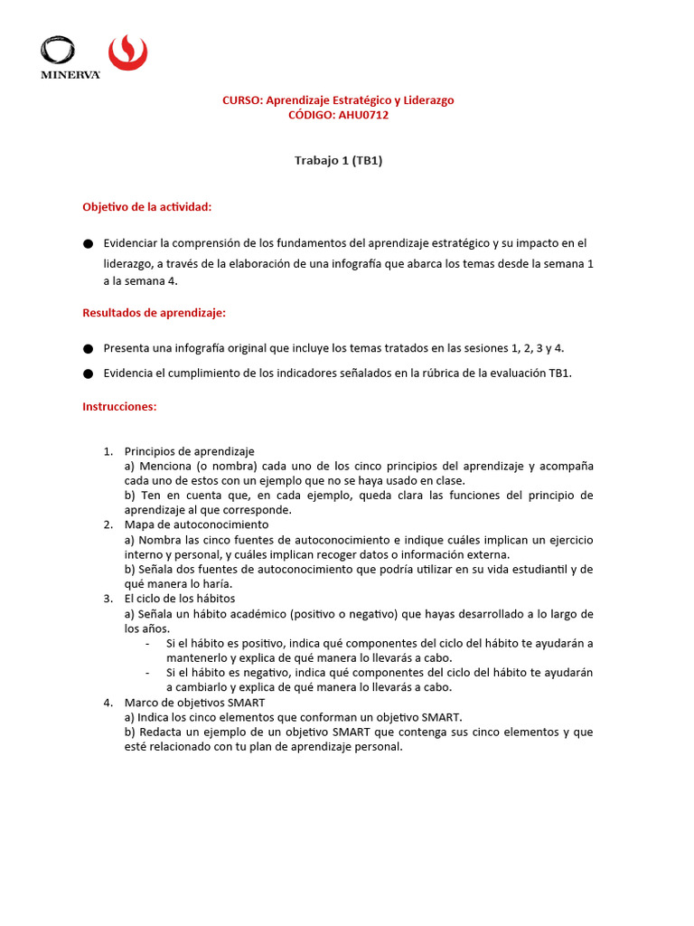 Pautas Del TB1 AEL (2025) Versión Final | PDF