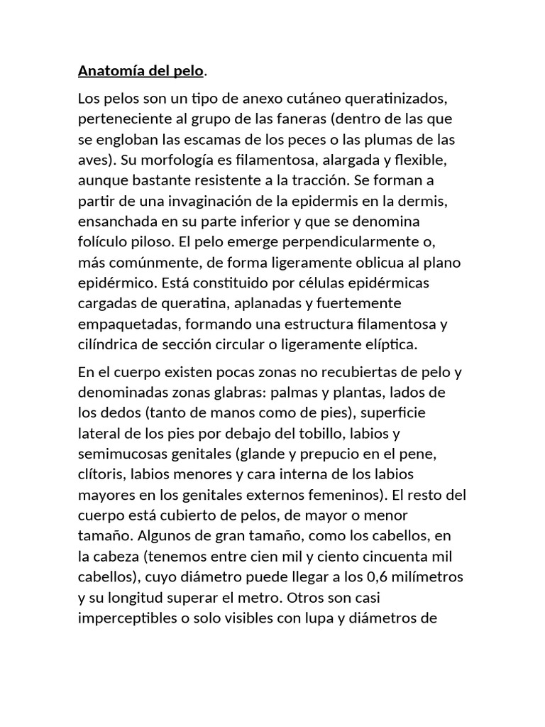 Anatomía y funciones del pelo humano | PDF | Pelo | Sistema tegumentario