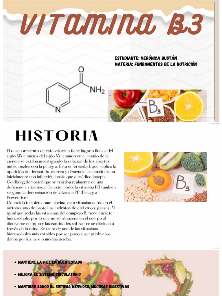 Vitamina B3 | PDF