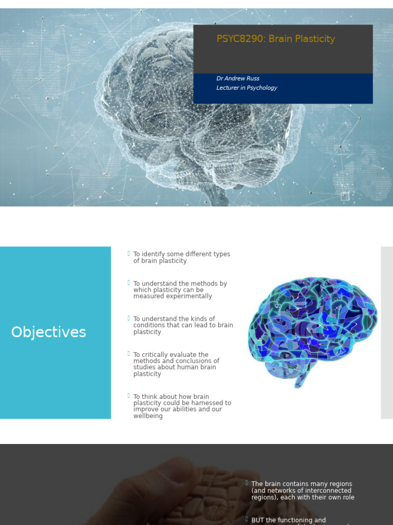 PSYC8290 Brain Plasticity 2023-24 | PDF | Synaptic Plasticity | Synapse