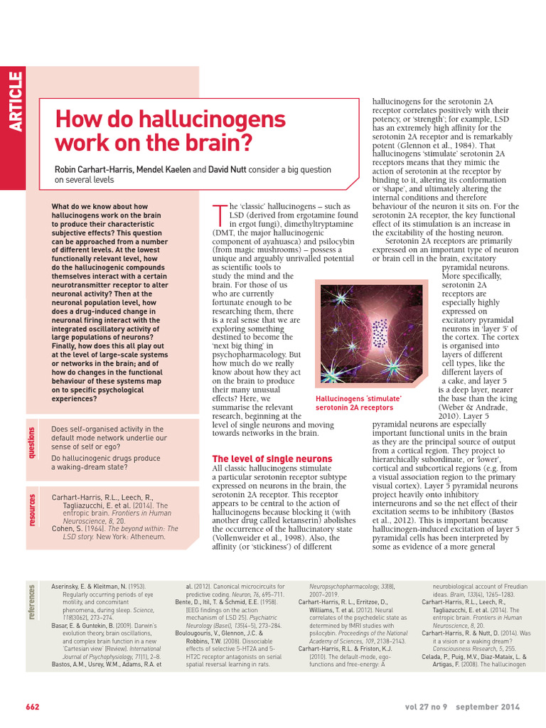 How Hallucinogens Affect The Brain Pdf Neural Oscillation