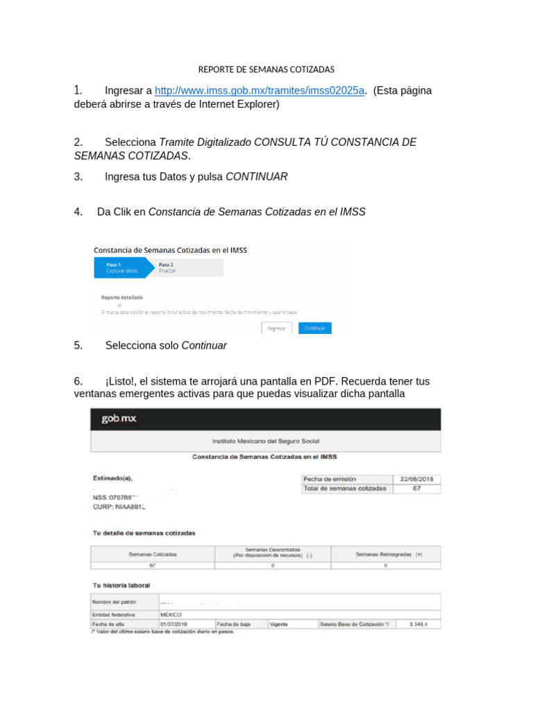 Instrucciones Reporte de Semanas Cotizadas | PDF