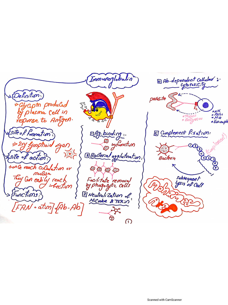 Immunoglobulin | PDF