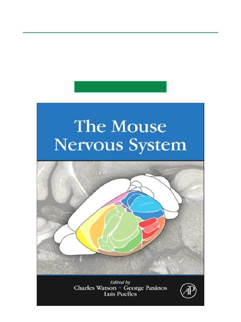 The Mouse Nervous System Full-Feature Download | PDF | Books | Neuroscience