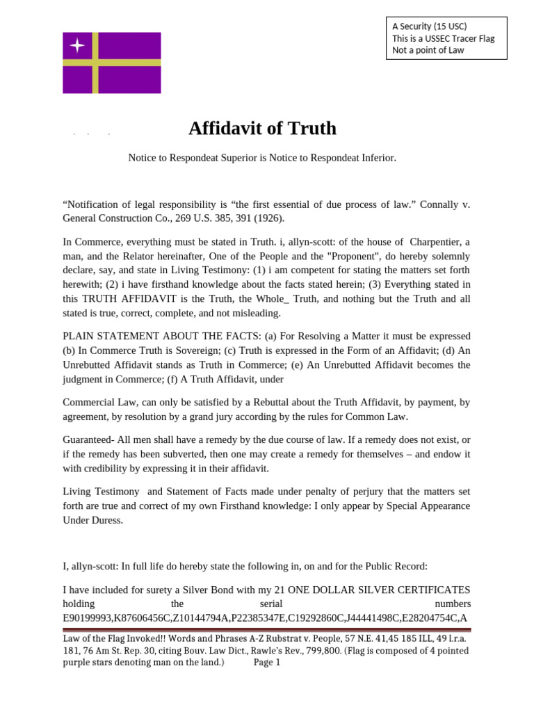 Allyn Affidavit | PDF | Affidavit | Fourteenth Amendment To The United ...