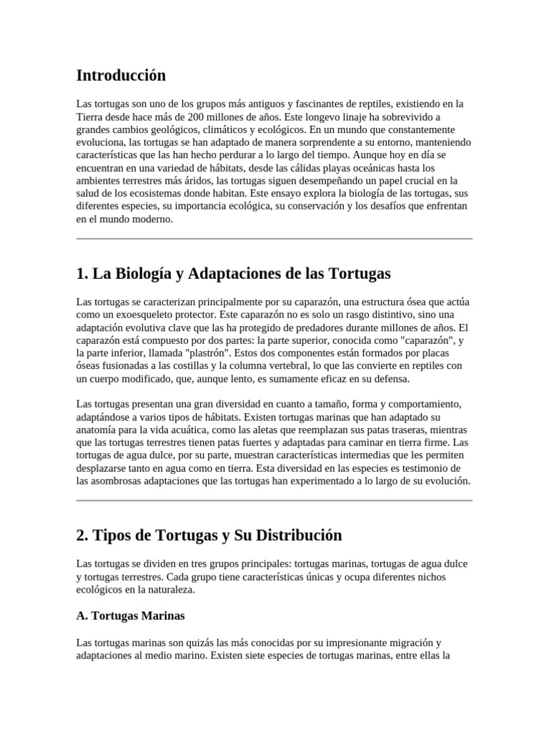 Biología y Conservación de Tortugas | PDF | Tortuga | Tortuga marina