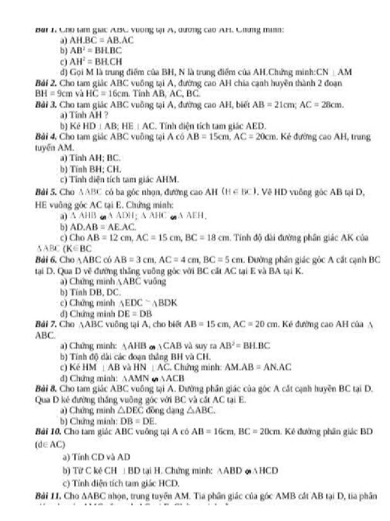 Tam Giác Đ NG D NG | PDF