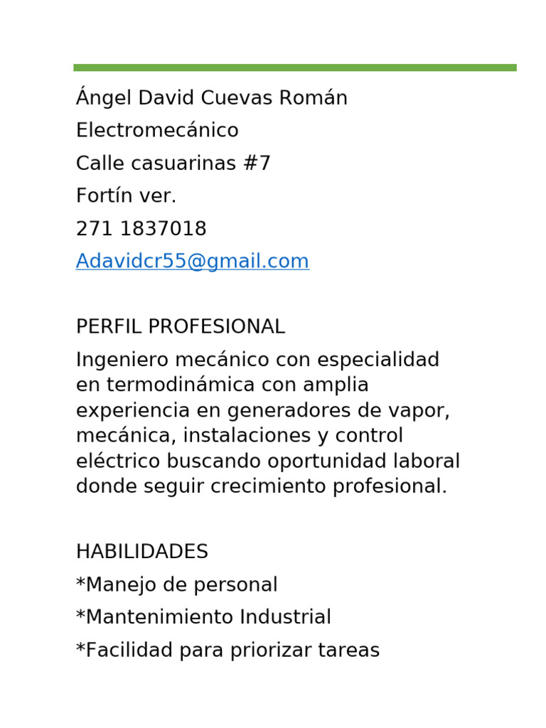 Ángel David Cuevas Román Curriculum | PDF