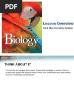 Module Excretory System | PDF | Human Body | Excretion