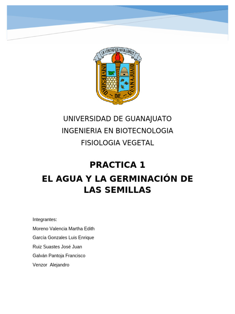 El rol del coleóptilo en la germinación | PDF | Germinación | Semilla