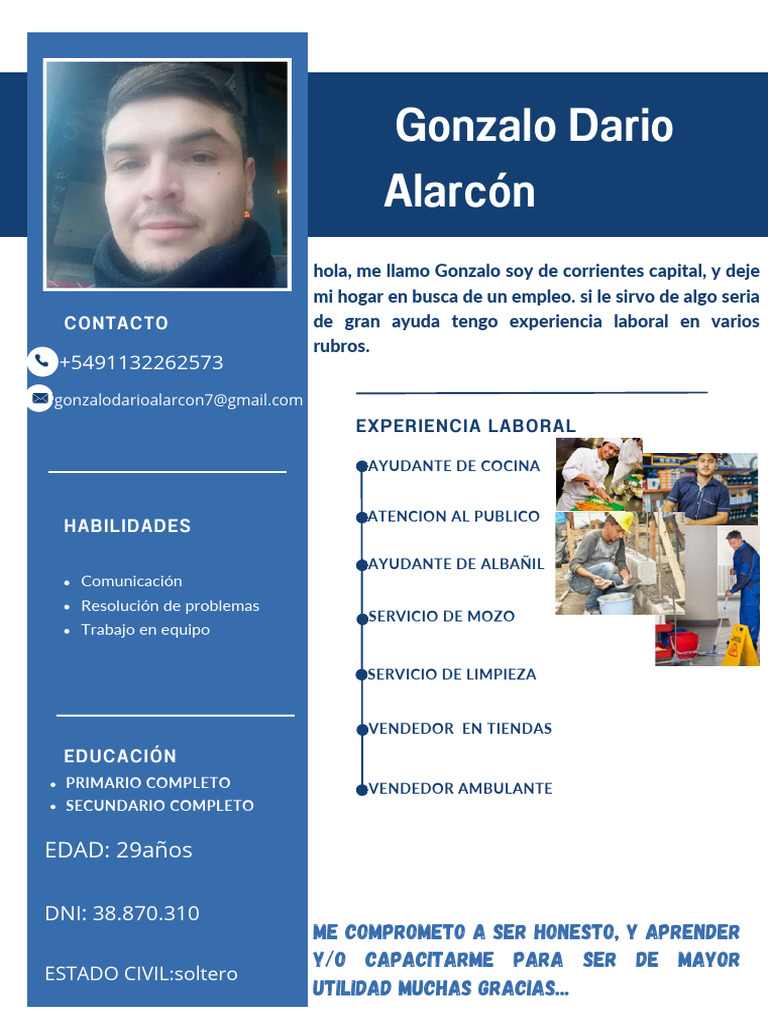 Currículum Vitae Gonzalo Alarcon | PDF