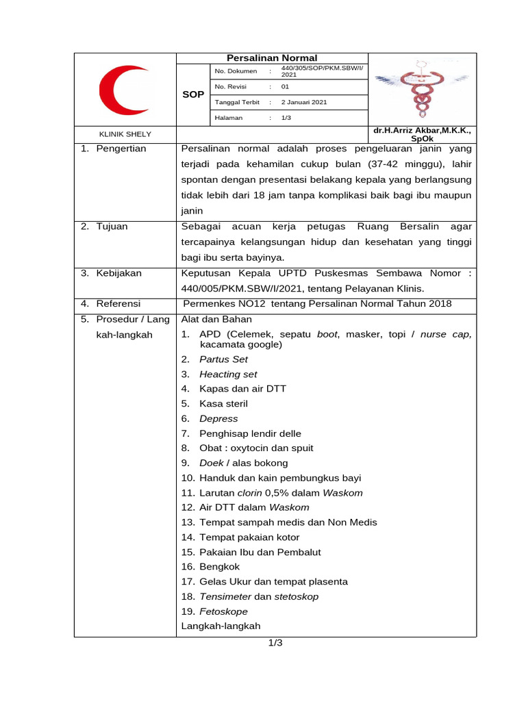 Sop Persalinan Normal (Apn) | PDF