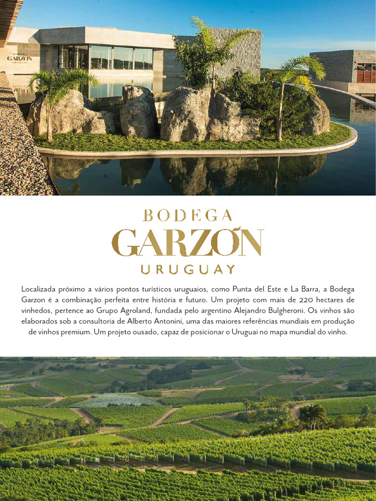 Fichas Técnicas Garzón | PDF | Vinhos | Queijo