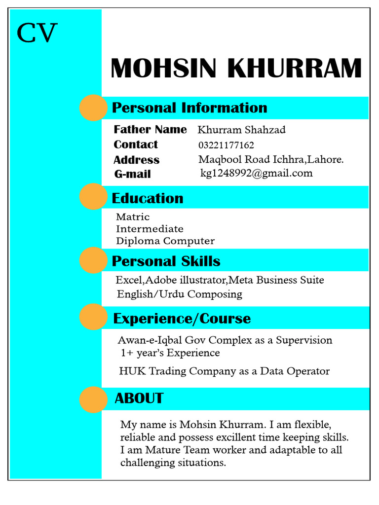 Mohsin CV | PDF