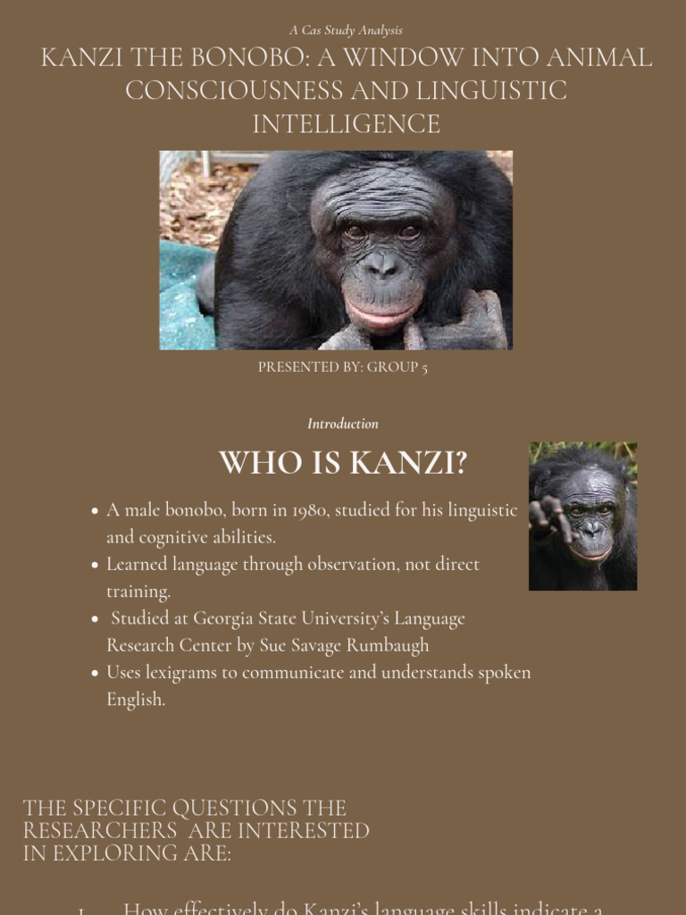 Kanzi The Bonobo A Window Into Animal Consciousness and Linguistic ...
