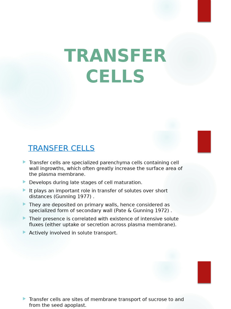 Transfer Cells | PDF