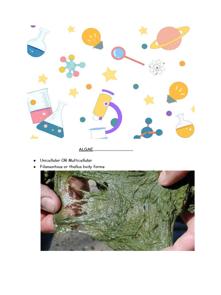 Algae | PDF
