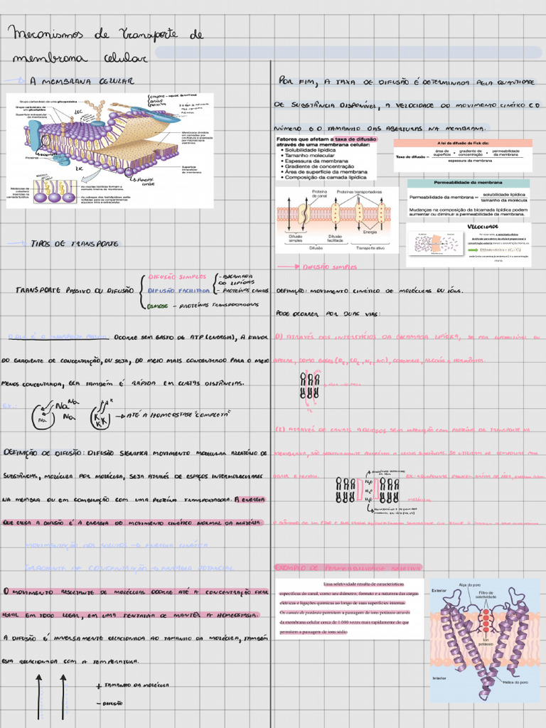 Transporte de Membrana - 250322 - 202102 | PDF