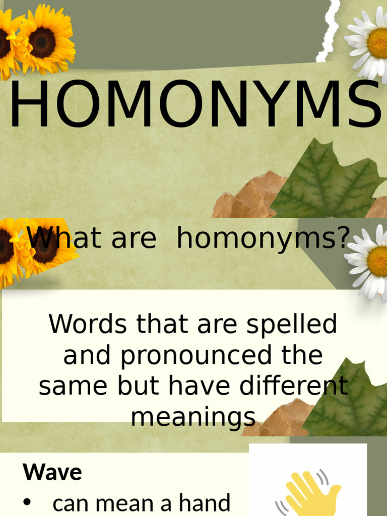 HOMONYMS | PDF