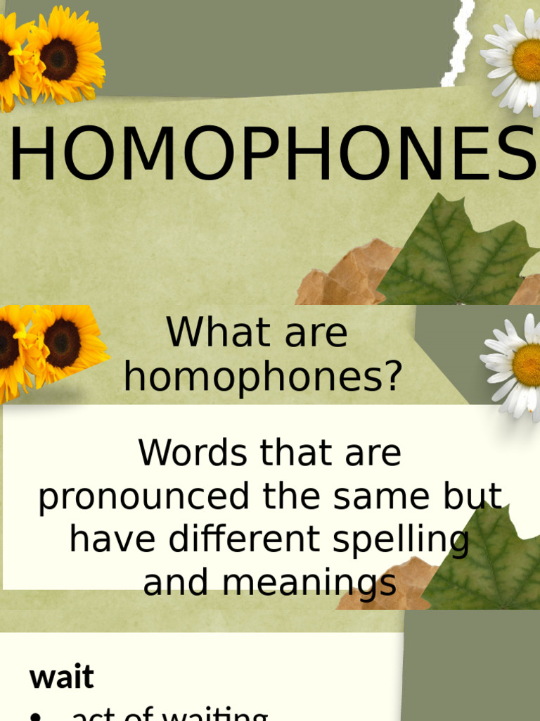 HOMOPHONES | PDF
