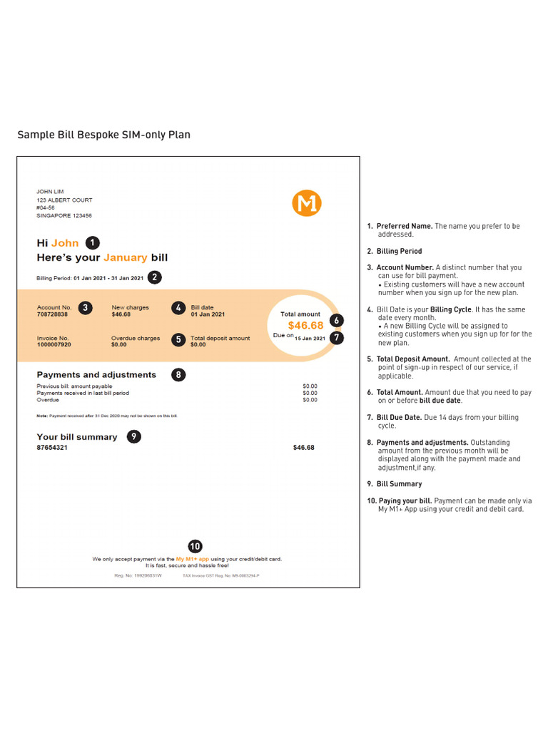 M1 Sample Bill Bespoke Plan | PDF | Payments | Credit Card