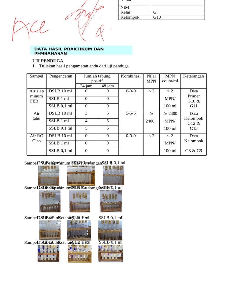 DHP M5 MPN G10 | PDF