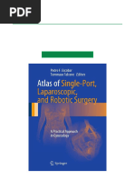 AOFAS Ankle Hindfoot Scale.d5404138 | PDF | Anatomical Terms Of Motion ...