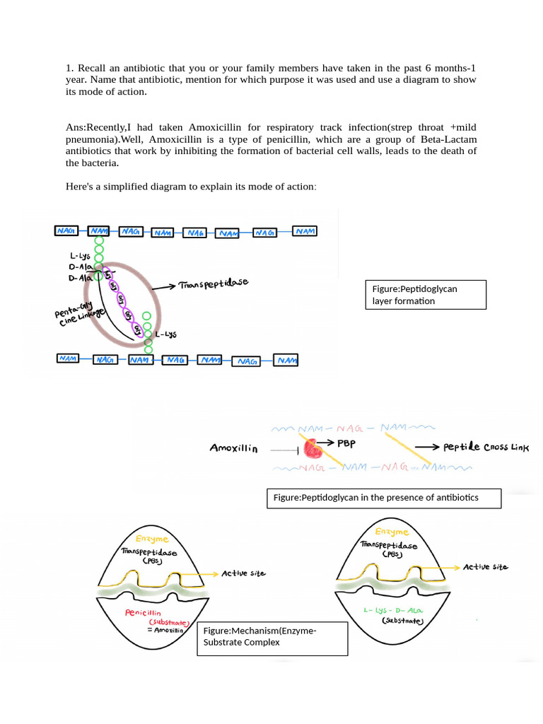 MIC 201 (Answer1) | PDF