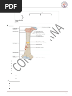 Mann-Assessment-Of-Swallowing-Ability - Scoring Sheet | PDF | Speech ...