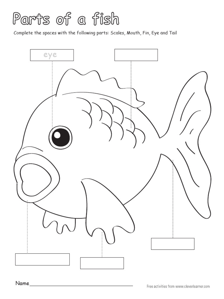 Parts of a Fish Label and Coloring Sheet | PDF