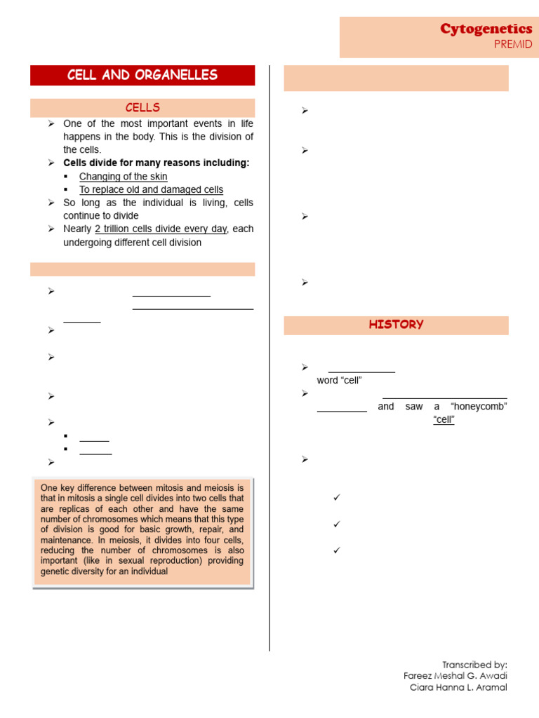 Cell and Organelles Cyto Trans | PDF | Endoplasmic Reticulum | Cell ...