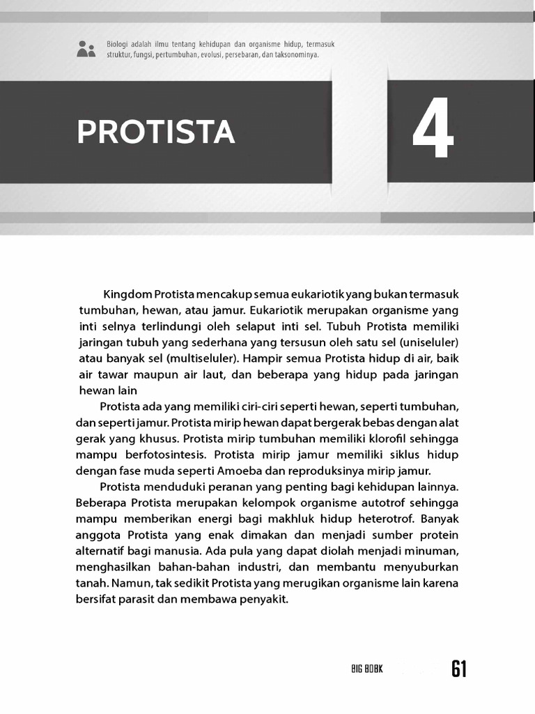 Lengkap - Big Book Biologi Sma - Protista | PDF