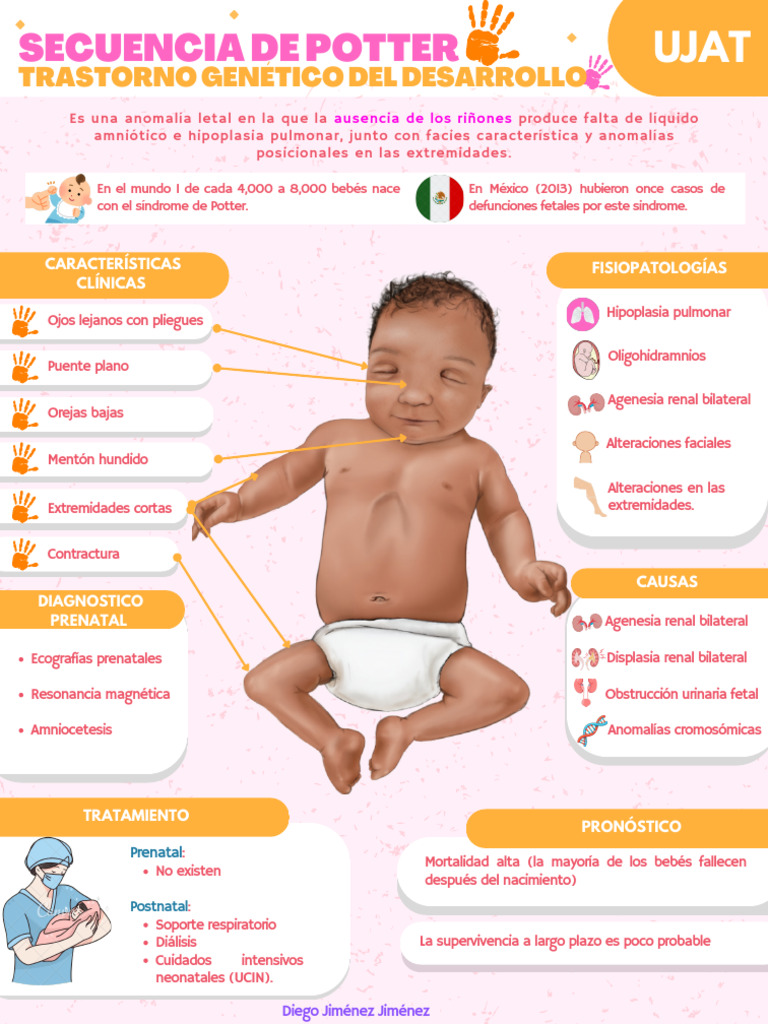 Potter | PDF | Enfermedades y trastornos humanos | Especialidades Medicas