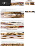 Classic Chocolate Chip Cookies Recipe | PDF | Fat | Baking