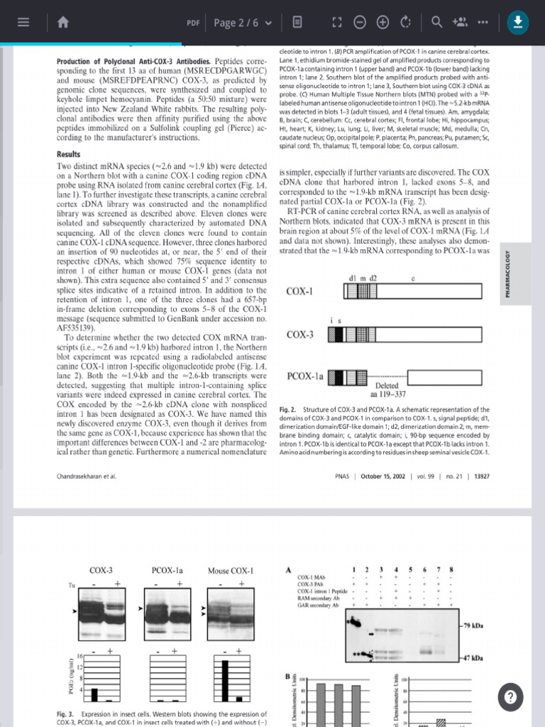 COX-3, A Cyclooxygenase-1 Variant Inhibited by Acetaminophen and Other ...