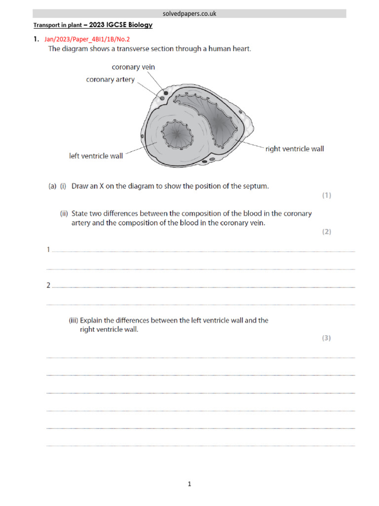 2023 Transport in Plants IGCSE Edexcel Biology | PDF