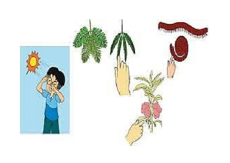 Bahan Ajar Rangsangan | PDF