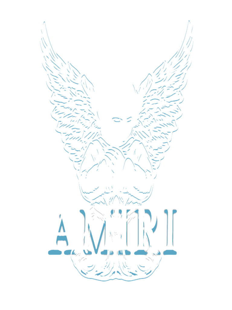 Logo Amiri | PDF