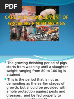 Pig Medication & Vaccination Guide | PDF