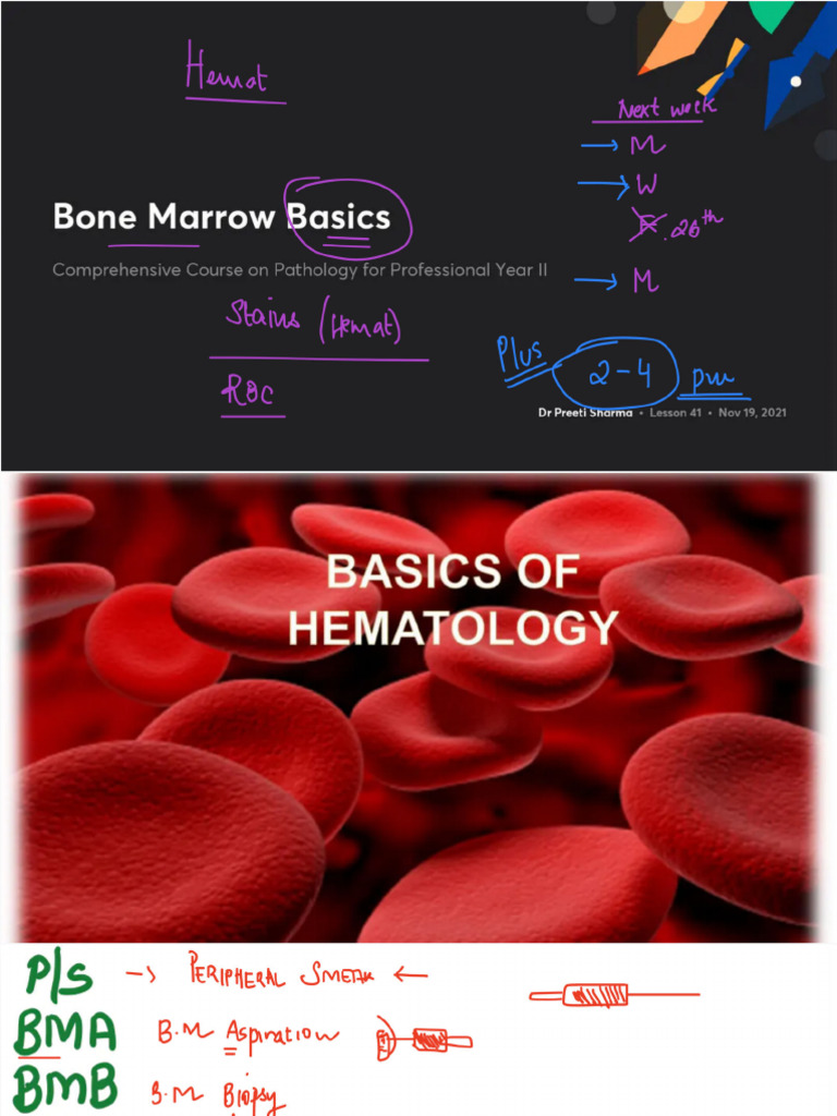 Bone Marrow Basics With Anno | PDF