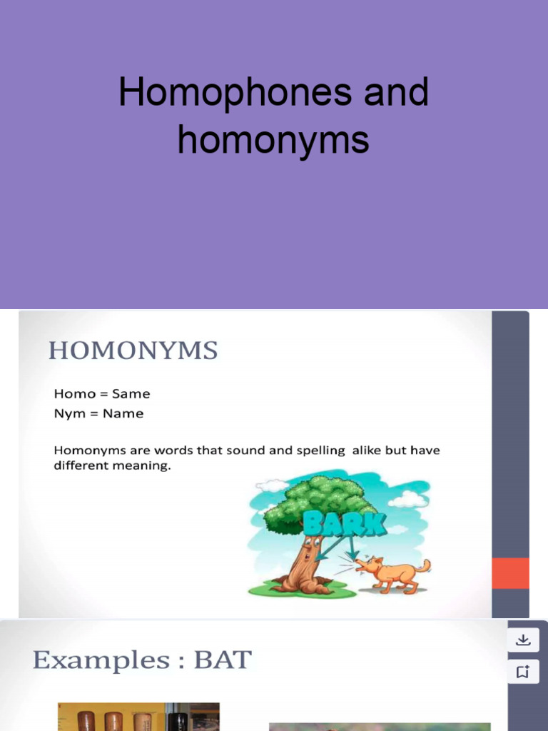 Homophones and Homonyms | PDF