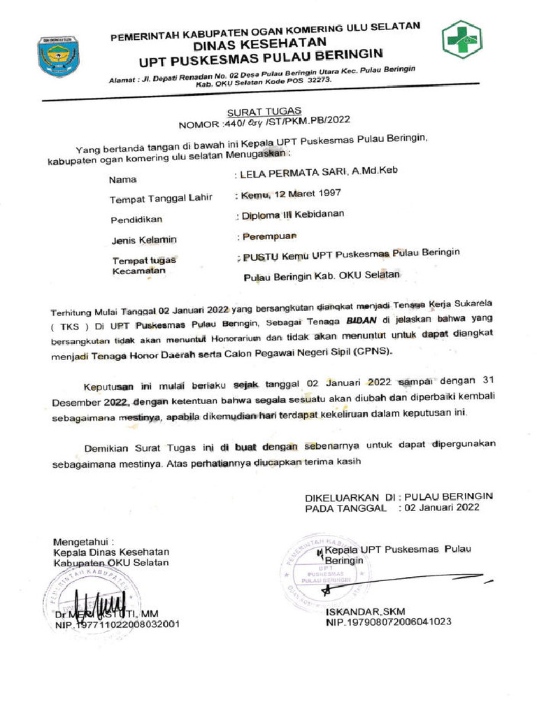 SURAT TUGAS 2022 | PDF