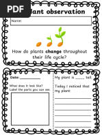 Plant Observation Journal Template | PDF