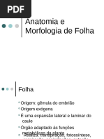 Filotaxia | PDF | Folha | Morfologia vegetal