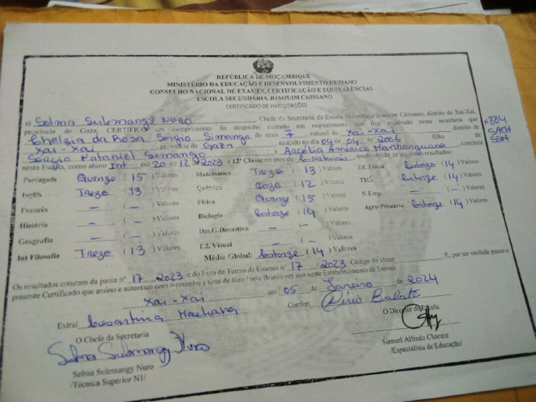 PDF Phoenix 20240904 | PDF